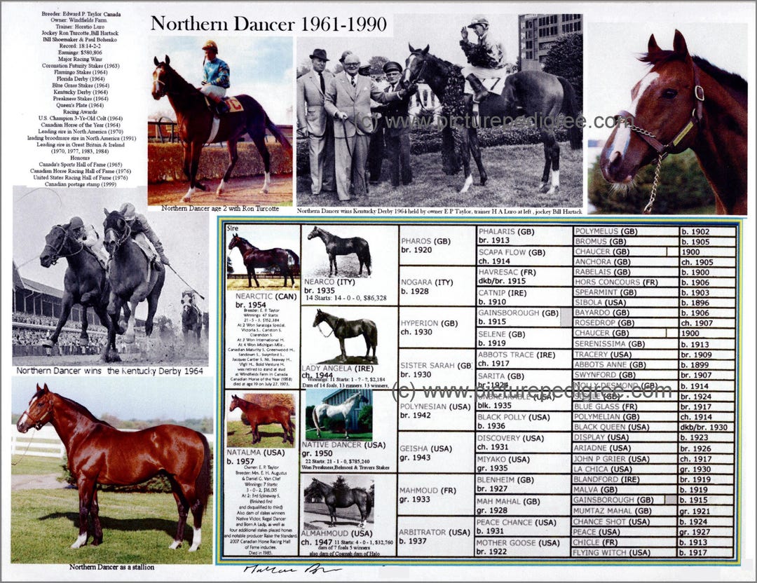 Horse Racing NORTHERN DANCER Picture Pedigree Ronturcotte Bill ...