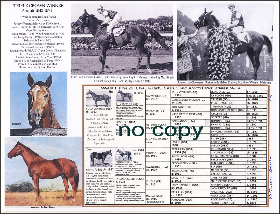 ASSAULT USA Triple Crown Winner Race Horse Racing Picture Pedigree ...