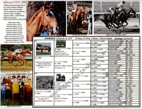 Affirmed Race Horse Triple Crown picture pedigree | Etsy