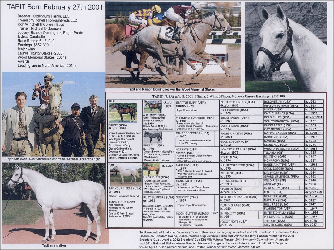 Horse Racing Top Sire TAPIT Picture Pedigree Photo Oustanding Sire ...