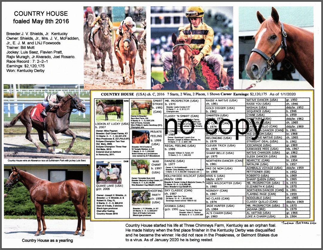 Race Horse Racing Kentucky Derby Upset COUNTRY HOUSE Picture Pedigree ...