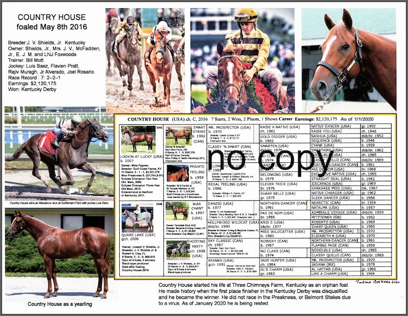 Race Horse Racing Kentucky Derby Upset COUNTRY HOUSE Picture Pedigree ...