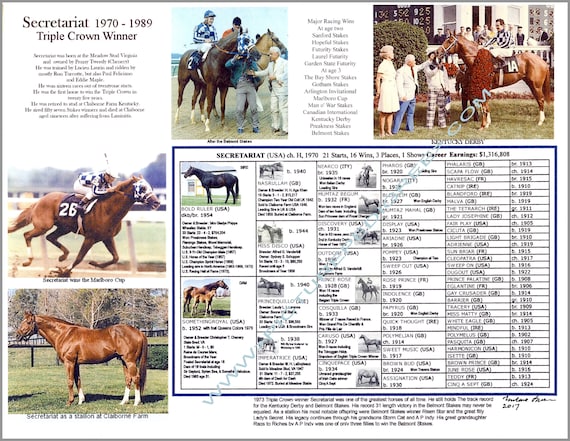 SECRETARIAT Race Horse Racing Picture Pedigree Chart Photo | Etsy