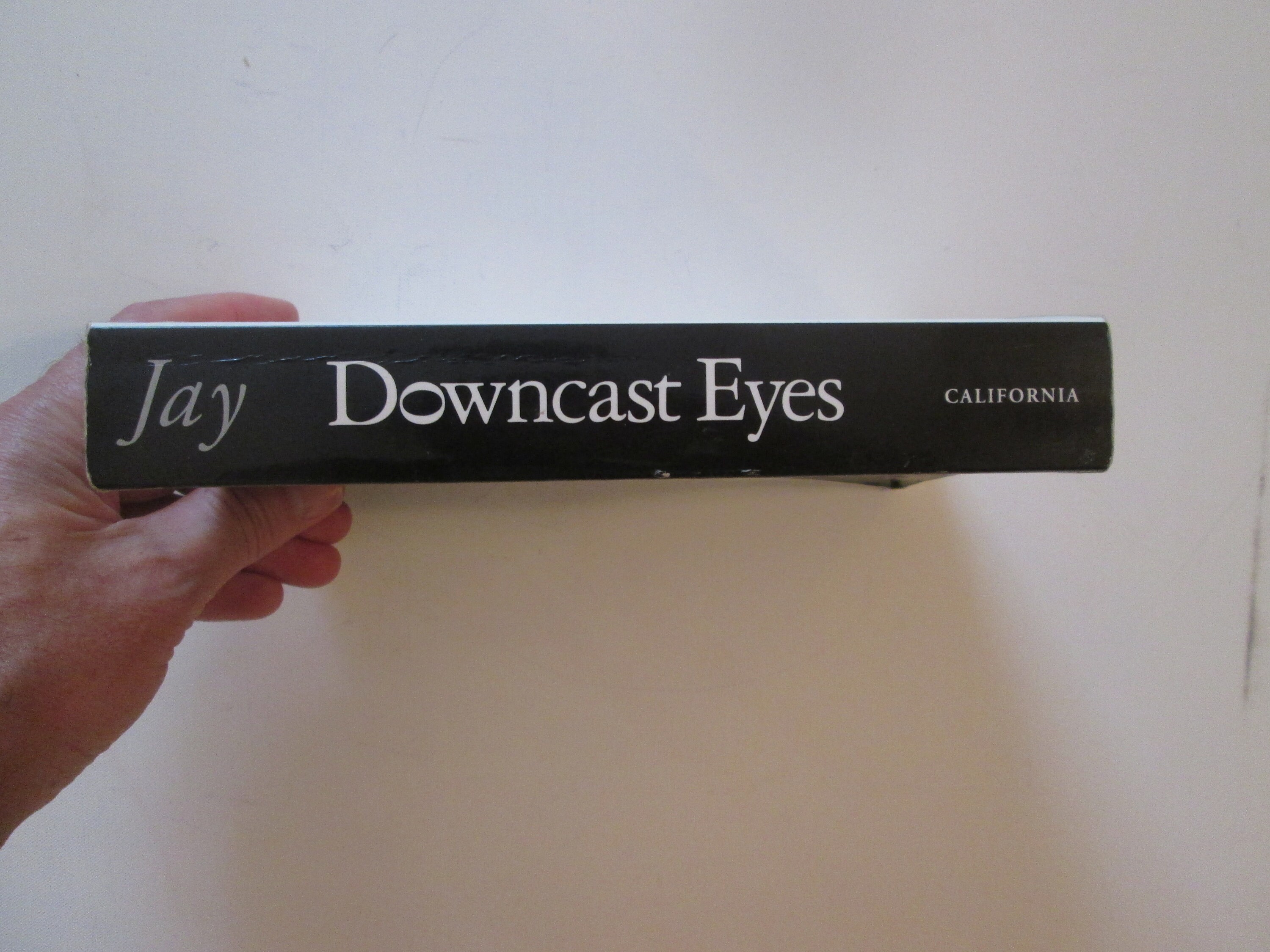 Vintage 1994 Downcast Eyes The Denigration of Vision In Twentieth ...