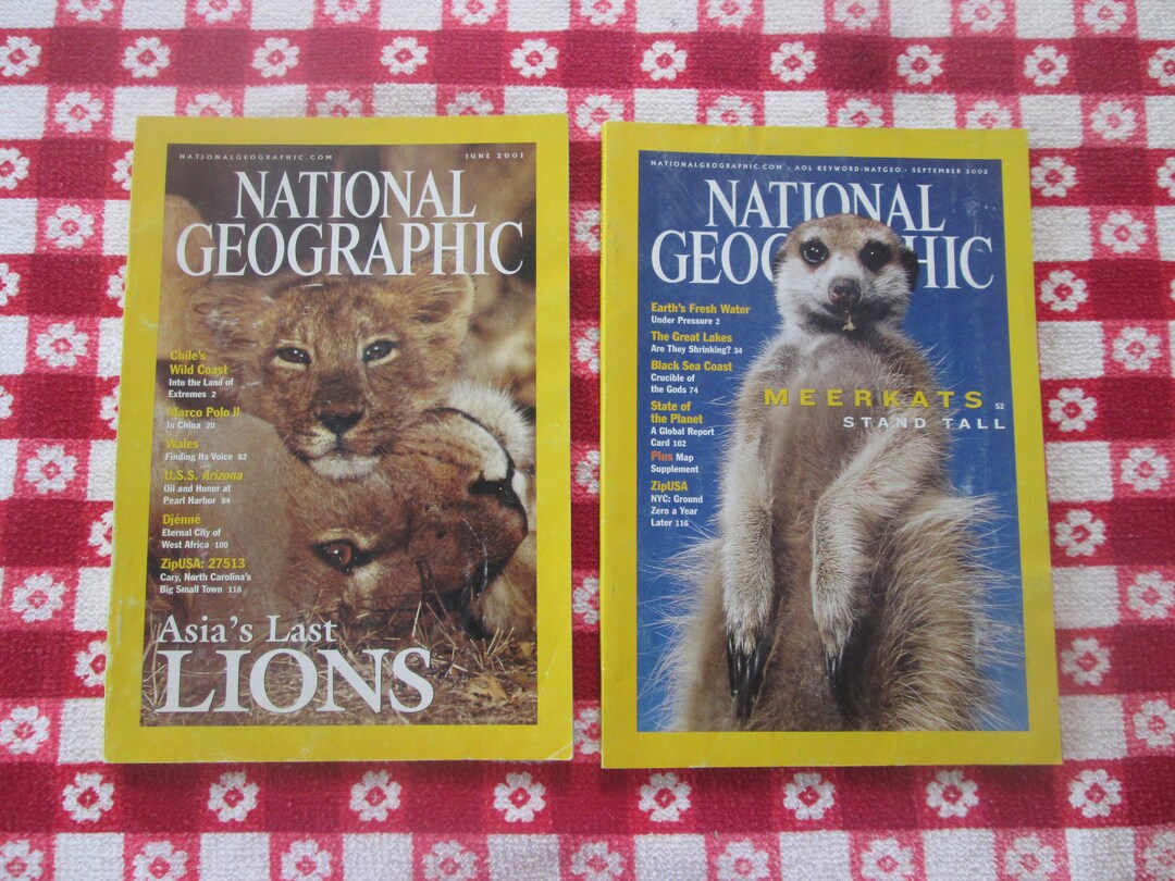 Pair of Vintage 2000s Animal Cover National Geographic Magazines June ...