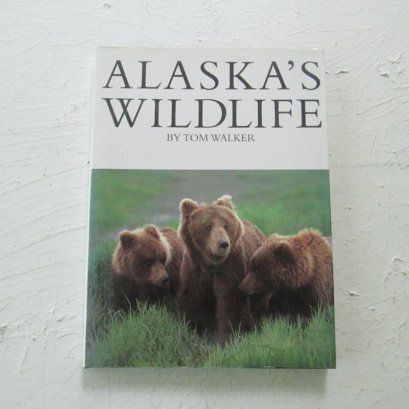 Alaska Wildlife - Etsy