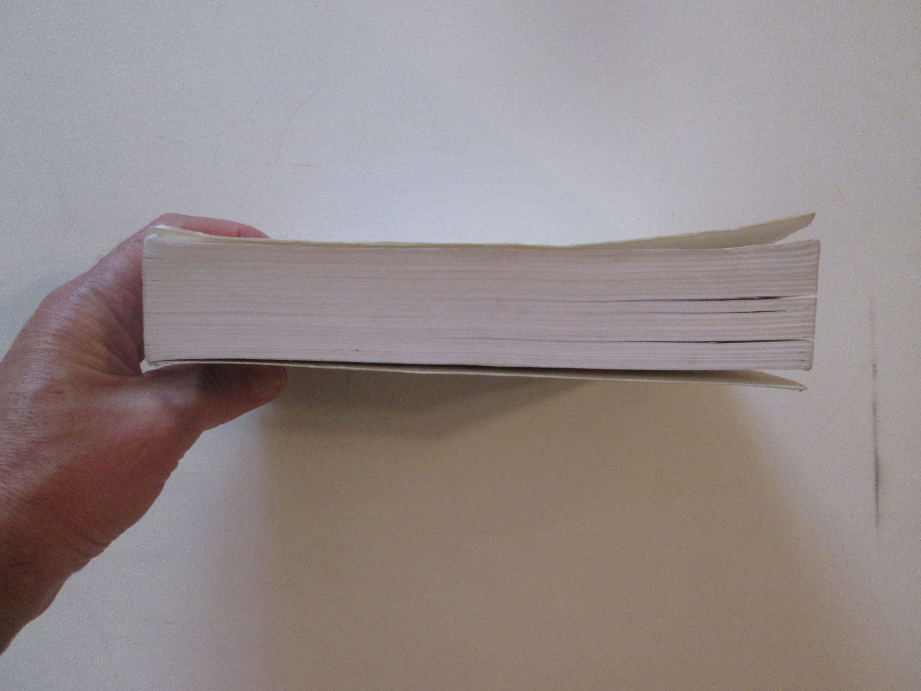 Vintage 1994 Downcast Eyes The Denigration of Vision In Twentieth ...