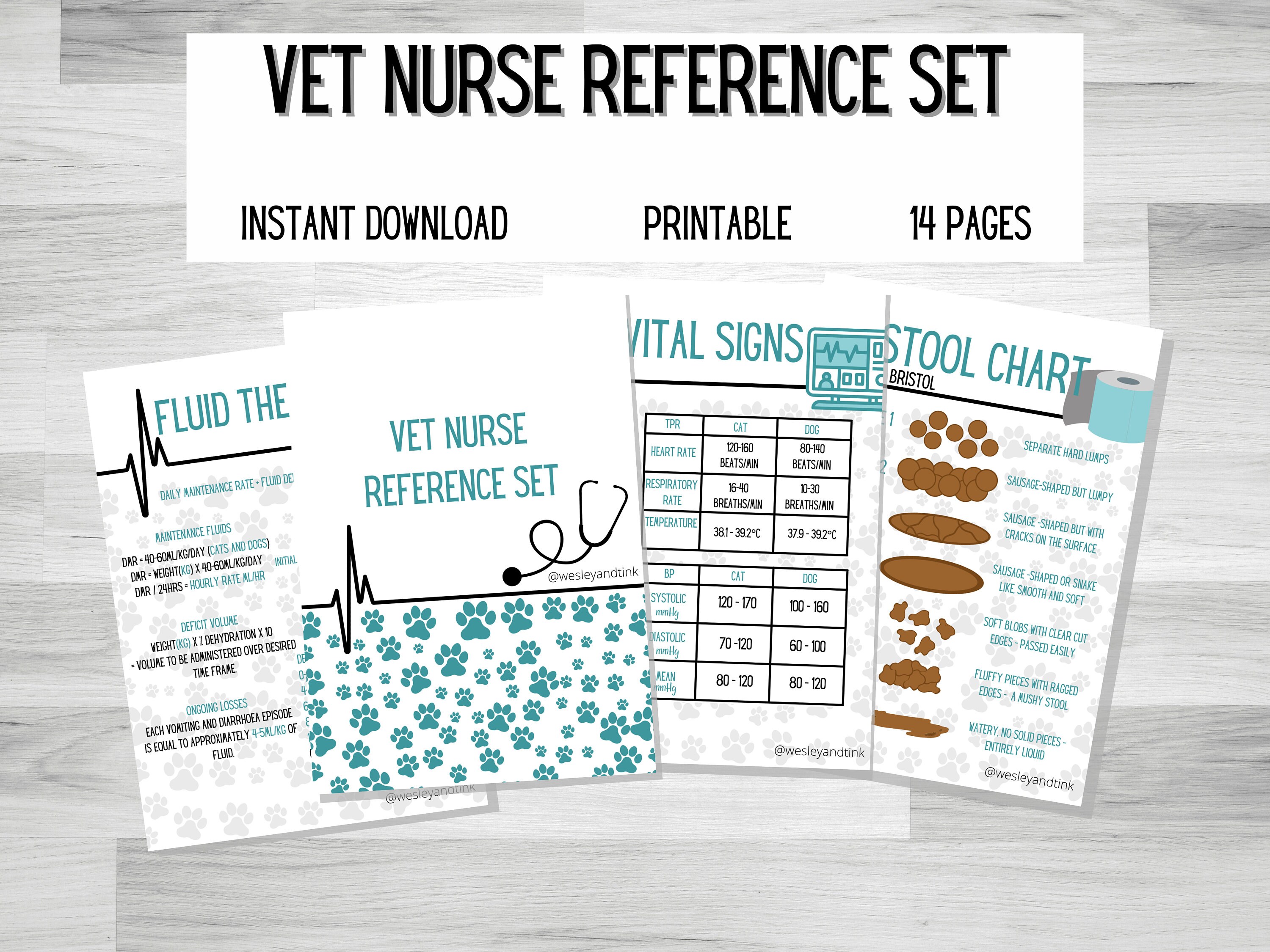 DIGITAL DOWNLOAD Vet Nurse Reference Set BLUEBLACK. | Etsy
