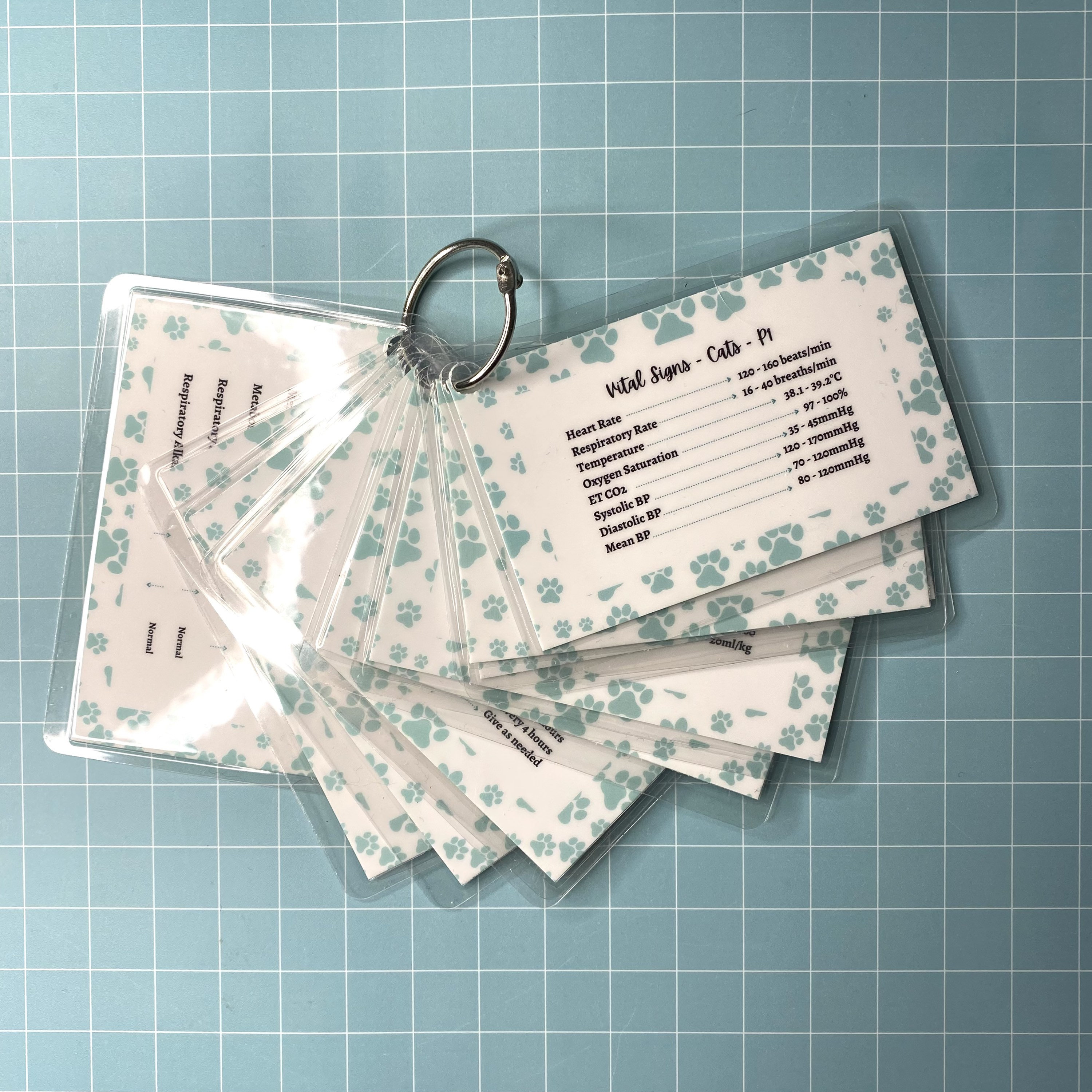 Learning & School Toys & Games Vet Quick Guide Toys etna.com.pe