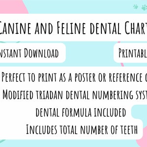 Canine AND Feline Dental Chart, DIGITAL DOWNLOAD, Printable, Poster ...