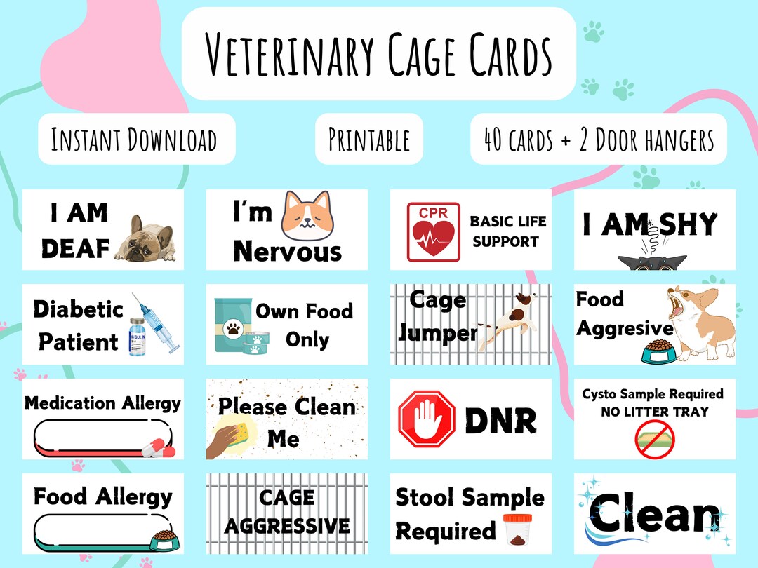 Plain Background Veterinary Cage Cards, DIGITAL DOWNLOAD, Printable ...