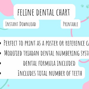 Feline Dental Chart, DIGITAL DOWNLOAD, Printable, Poster, Reference ...
