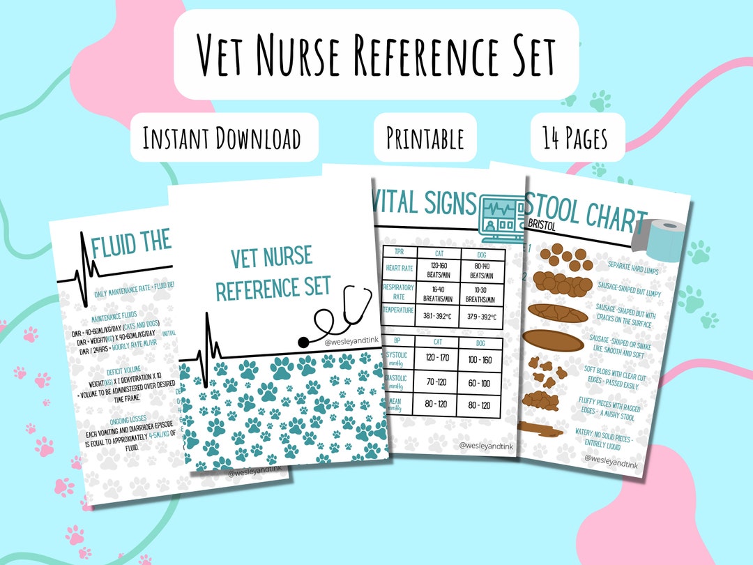 DIGITAL DOWNLOAD, Vet Nurse Reference Set BLUEBLACK. Printable. Study ...