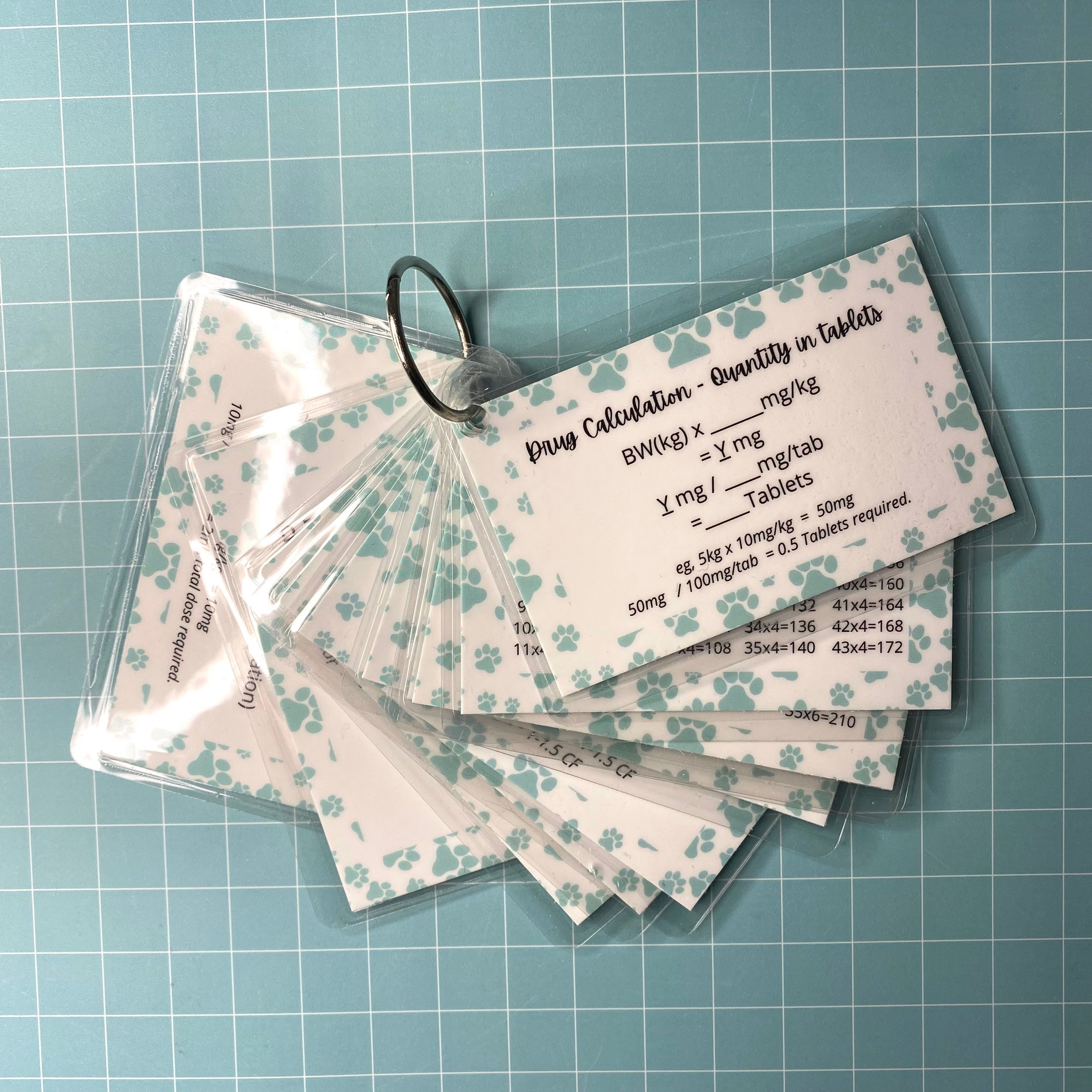 Learning & School Toys & Games Vet Quick Guide Toys etna.com.pe