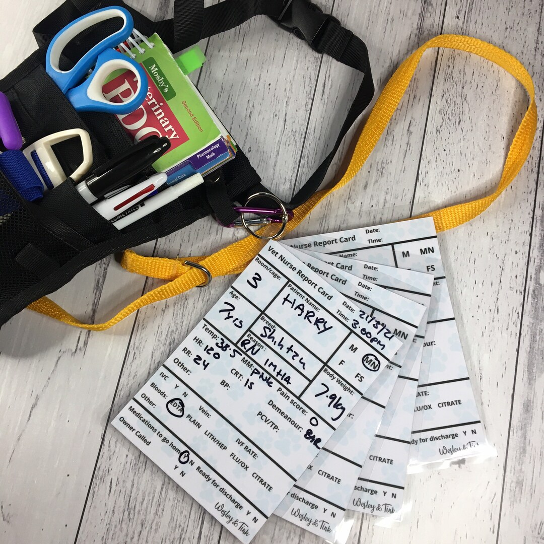 Laminated Vet Nurse Report Card, TPR, Assessment, Orders, Examination ...