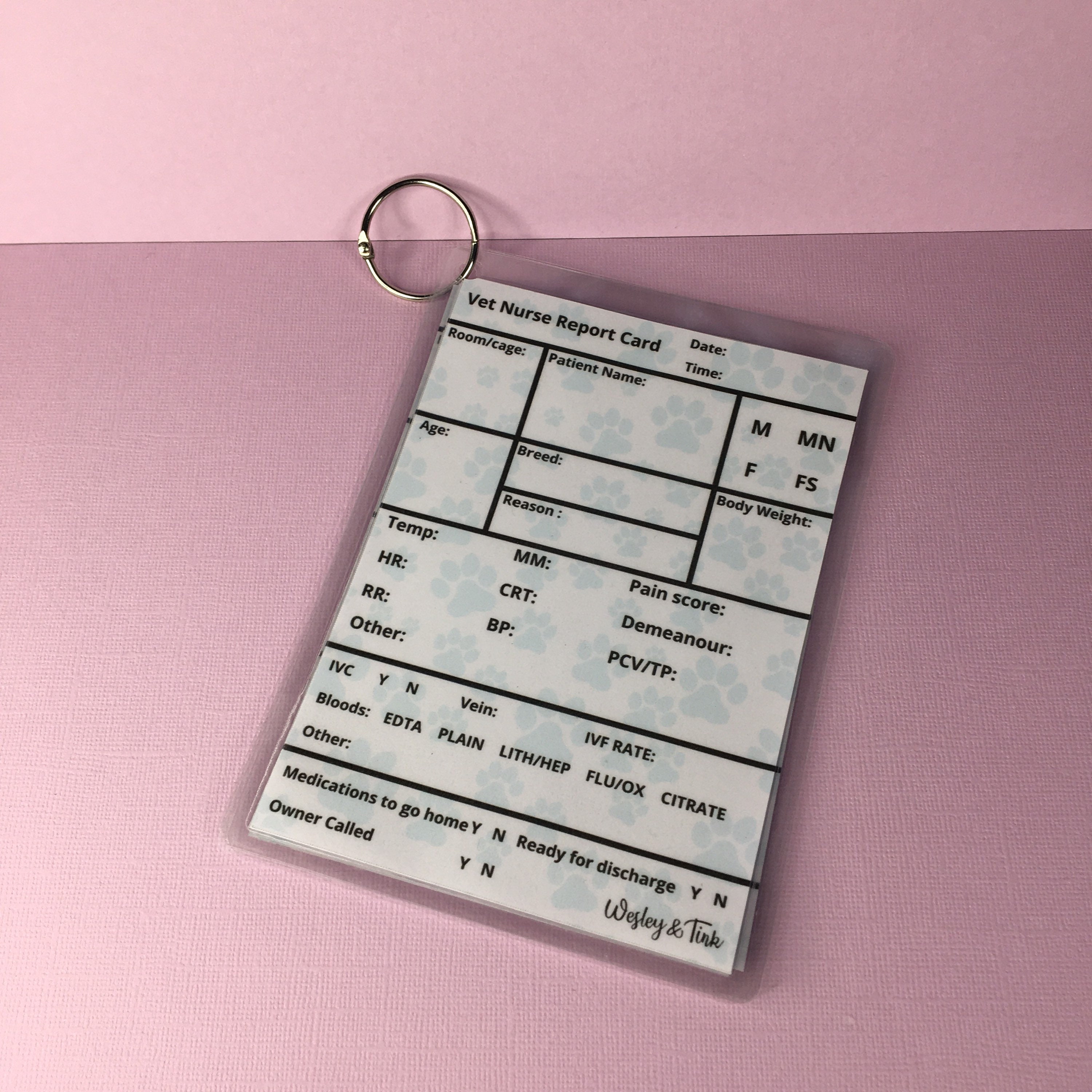 Laminated Vet Nurse Report Card TPR Assessment Orders | Etsy