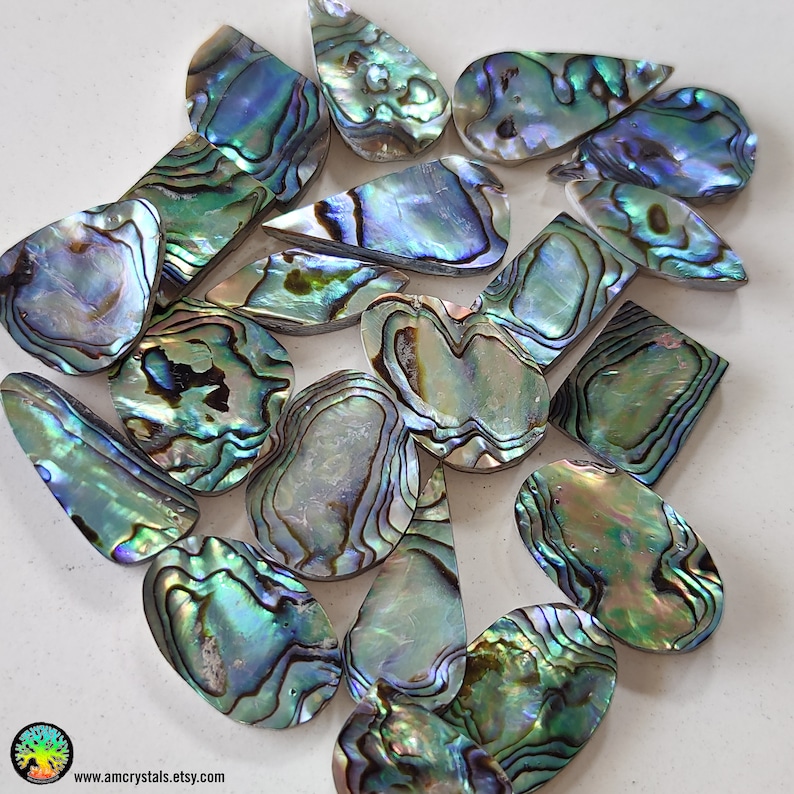 Abalone Shell Paua Cabochon for Sea Theme Macrame Natural - Etsy