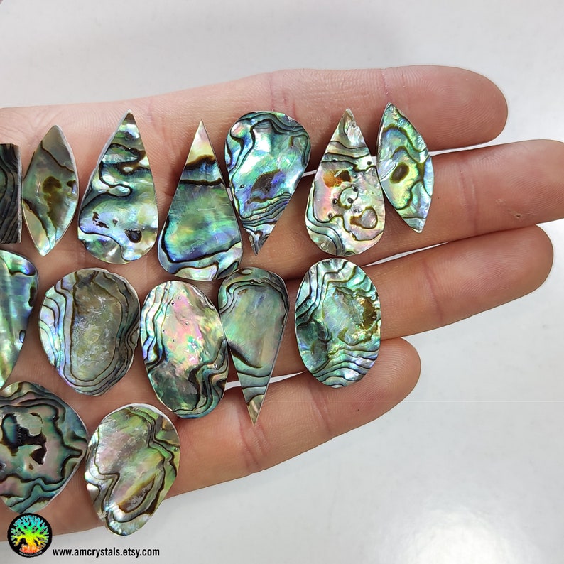 Abalone Shell Paua Cabochon for Sea Theme Macrame Natural - Etsy