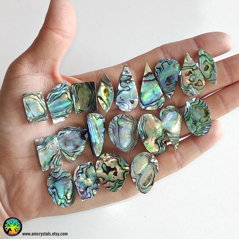 Abalone Shell Paua Cabochon for Sea Theme Macrame Natural - Etsy