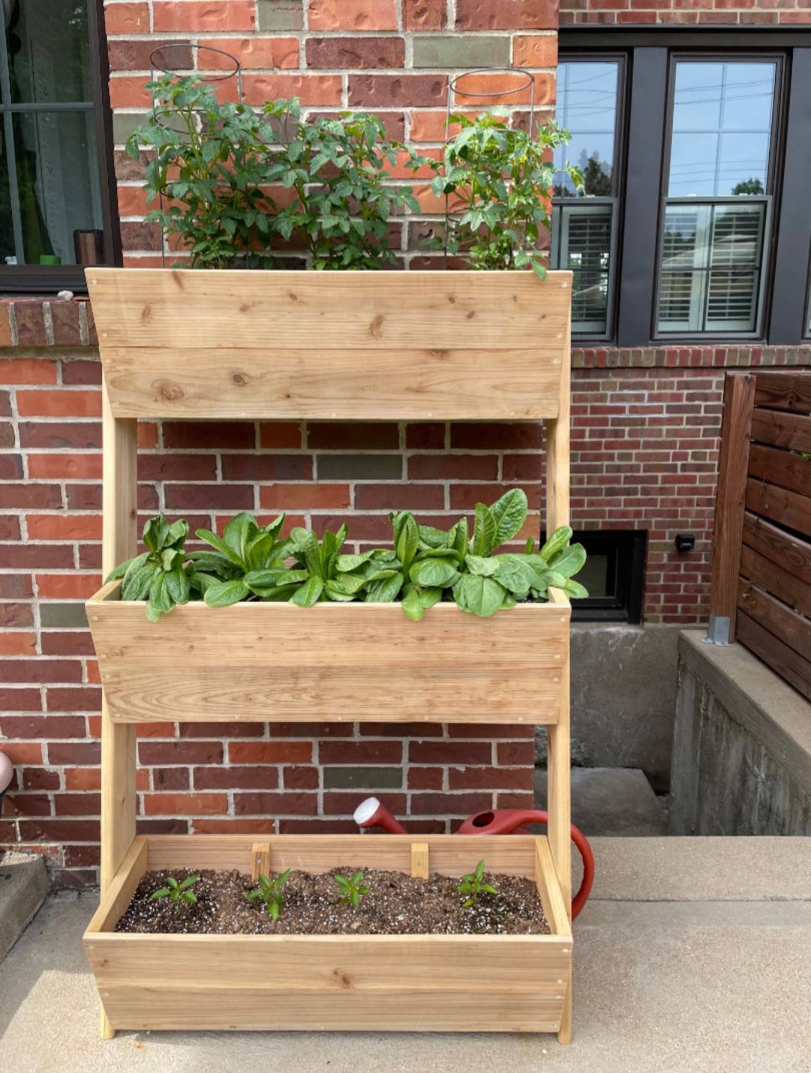 Vertical CEDAR Ladder Planter With Deep Root Vegetable Boxes - Etsy