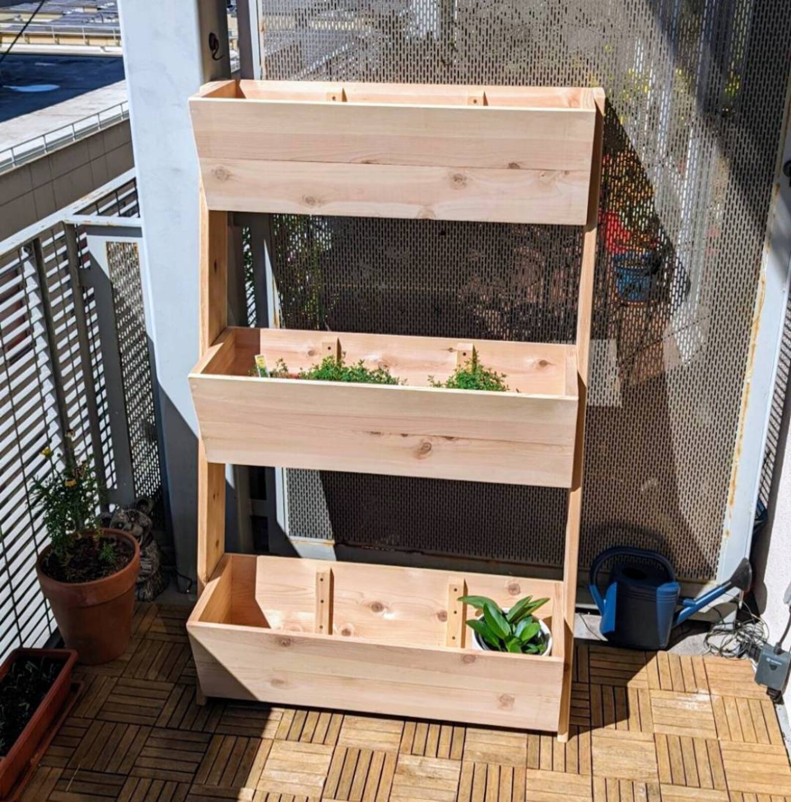 Vertical CEDAR Ladder Planter With Deep Root Vegetable Boxes - Etsy