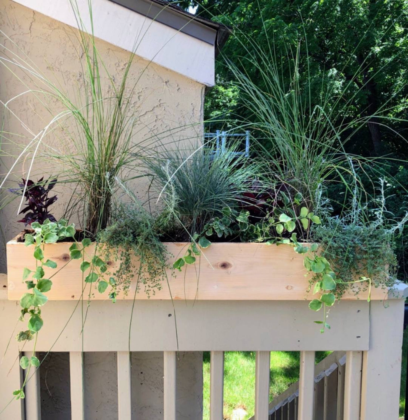 CEDAR Rail Top Planters note Rail Width on Order - Etsy