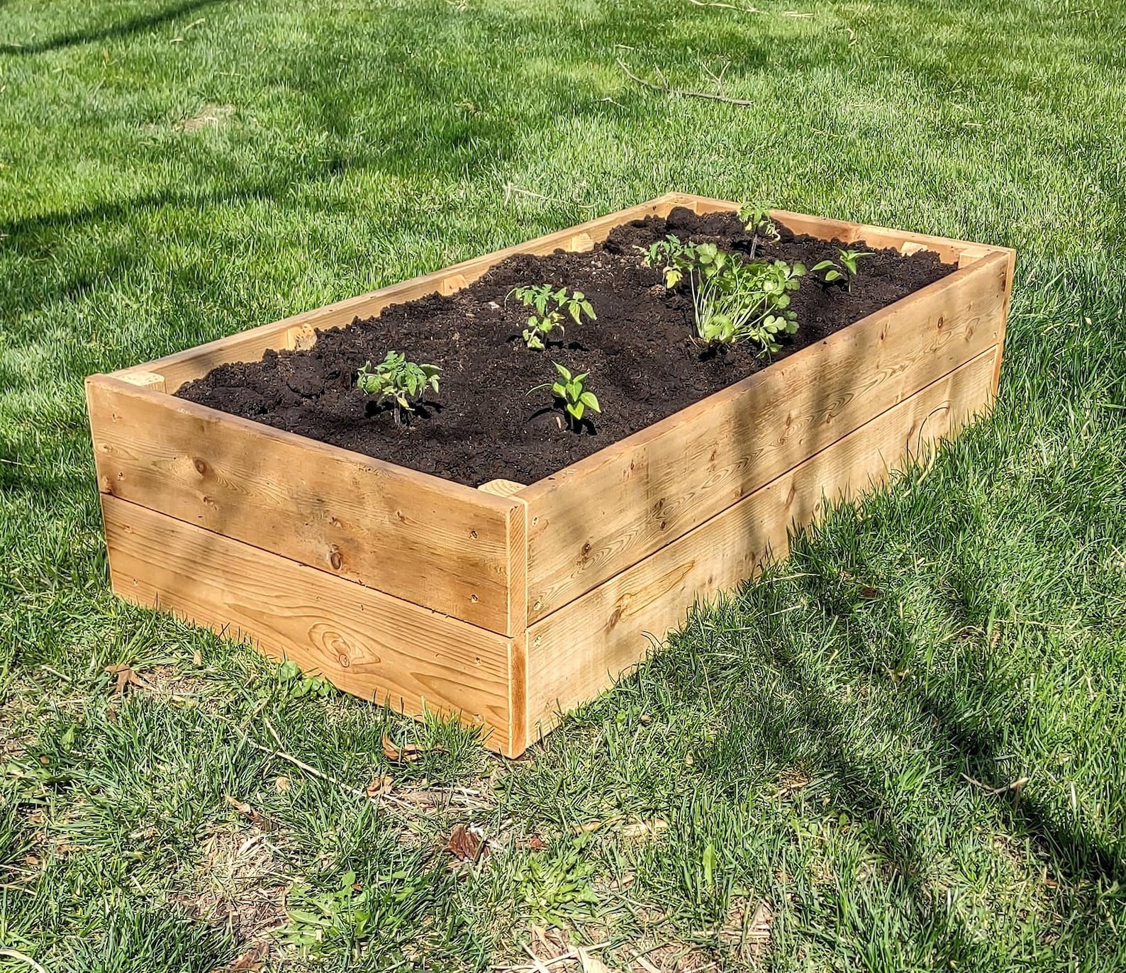 Sustainable Raised CEDAR Garden Bed, 11, 16 or 22" Deep! Full Inch ...