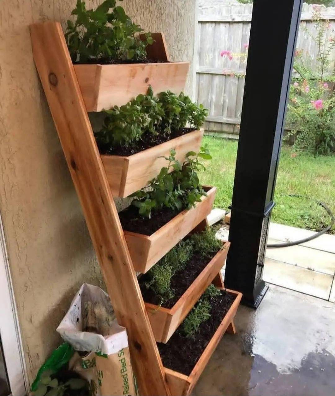 Sustainable Vertical Living Wall CEDAR Planter Box Ladder - Etsy