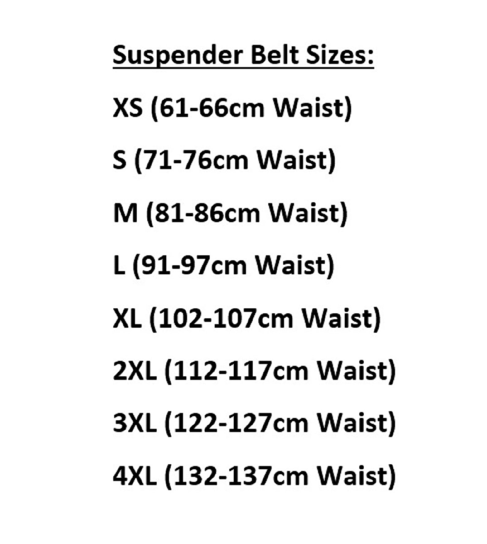 Premier Lingerie 6 Strap Suspender / Garter Belt With a Black Lace ...