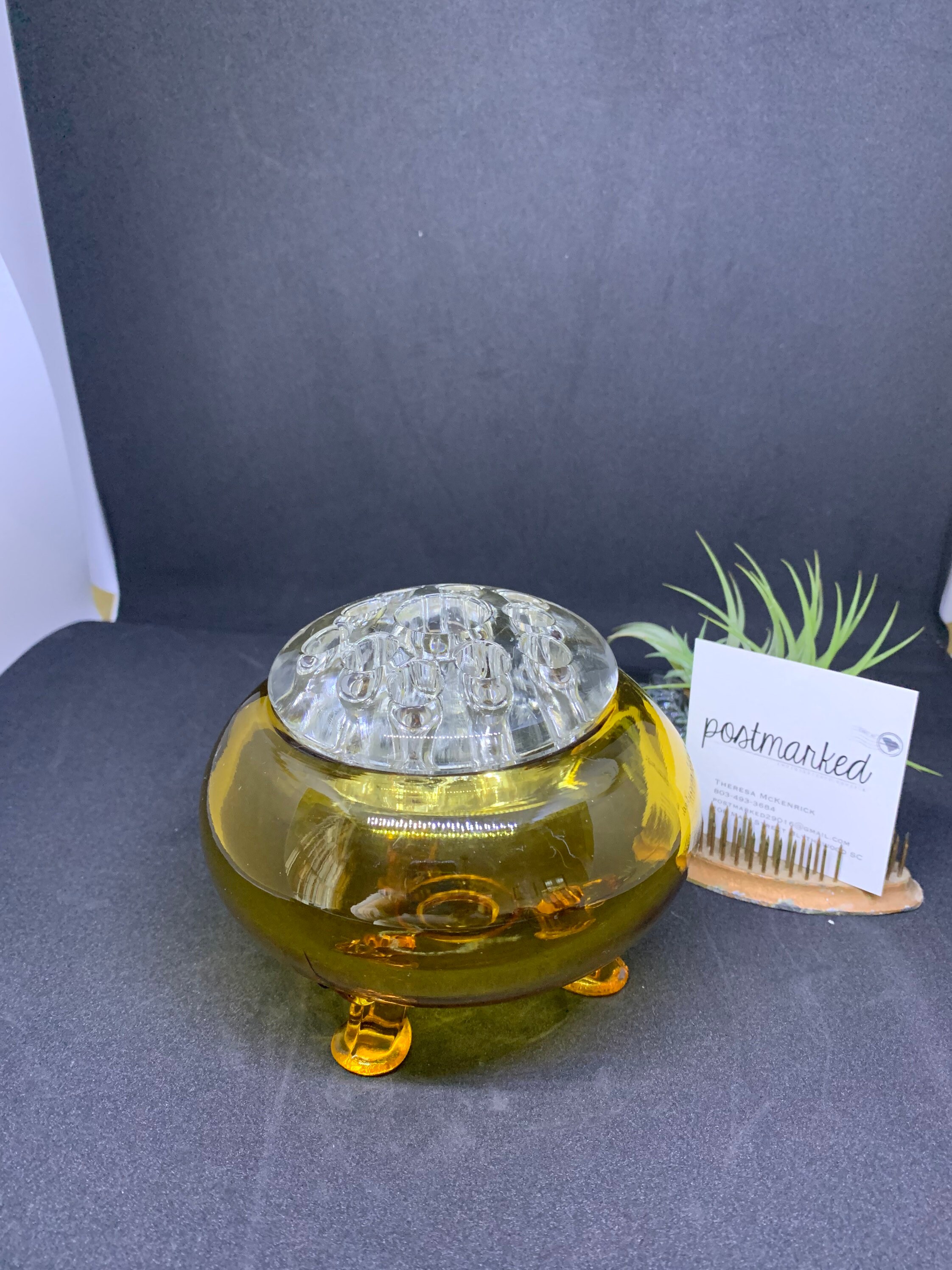 Viking Glass Frog for sale| 78 ads for used Viking Glass Frogs