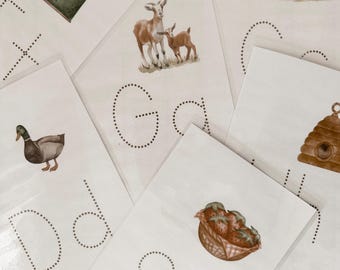 Cottagecore Abc Flashcards for Toddlers | Nature Alphabet Learning ...