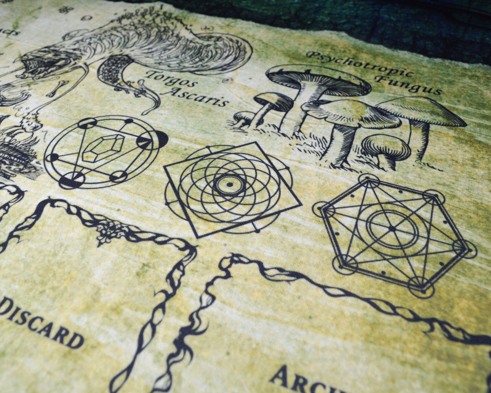 Keyforge Game Mat for House Untamed Gamers With Card Zones and - Etsy