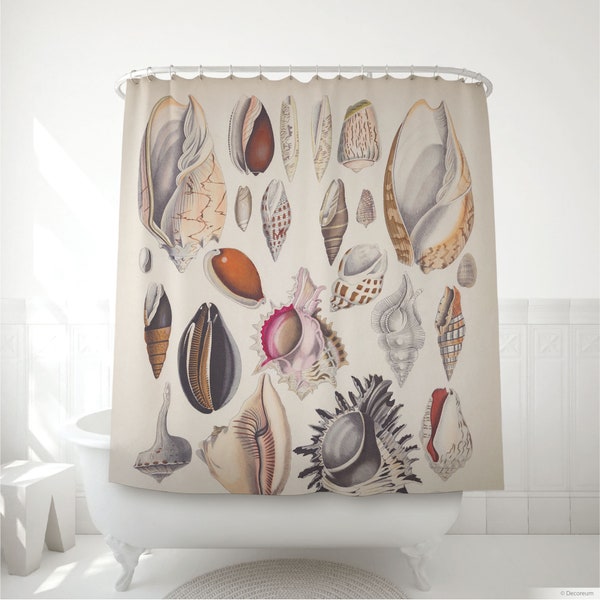 Sea Shell Shower Curtain - Etsy
