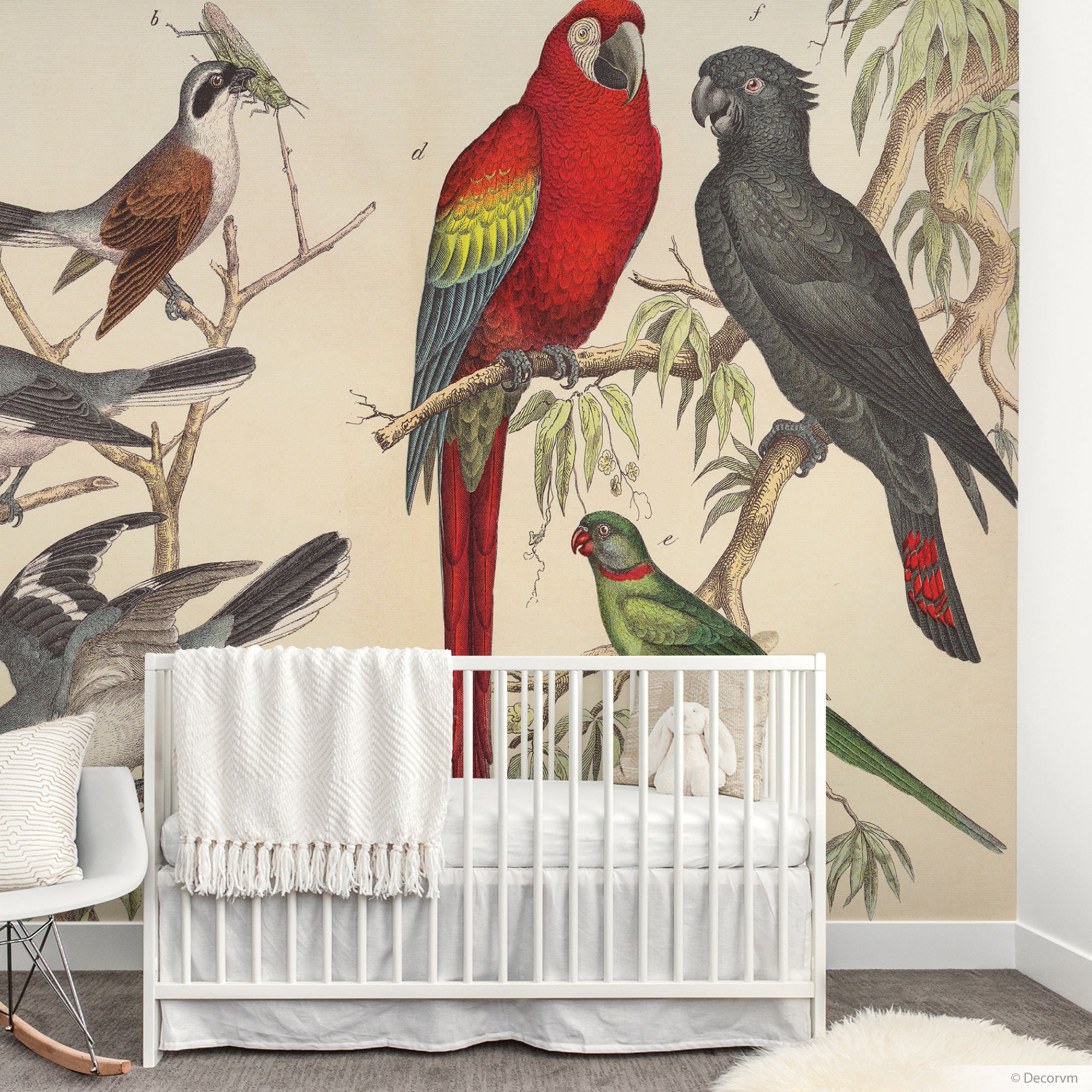 Tropical Birds Wallpaper Vintage Bird Art Peel and Stick - Etsy