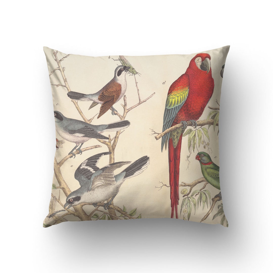 Bird Pillow, Vintage Illustration Throw Pillow Cover, Tropical Decor ...