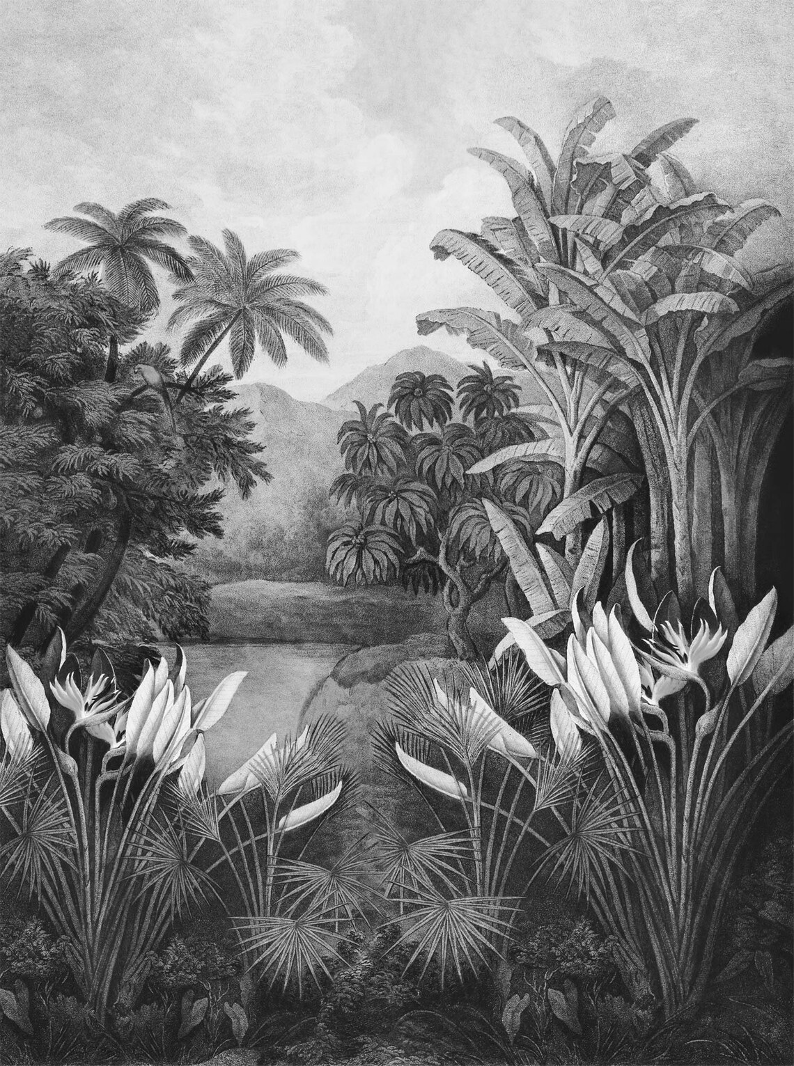 Vintage Wallpaper of a Tropical Jungle Illustration From the - Etsy
