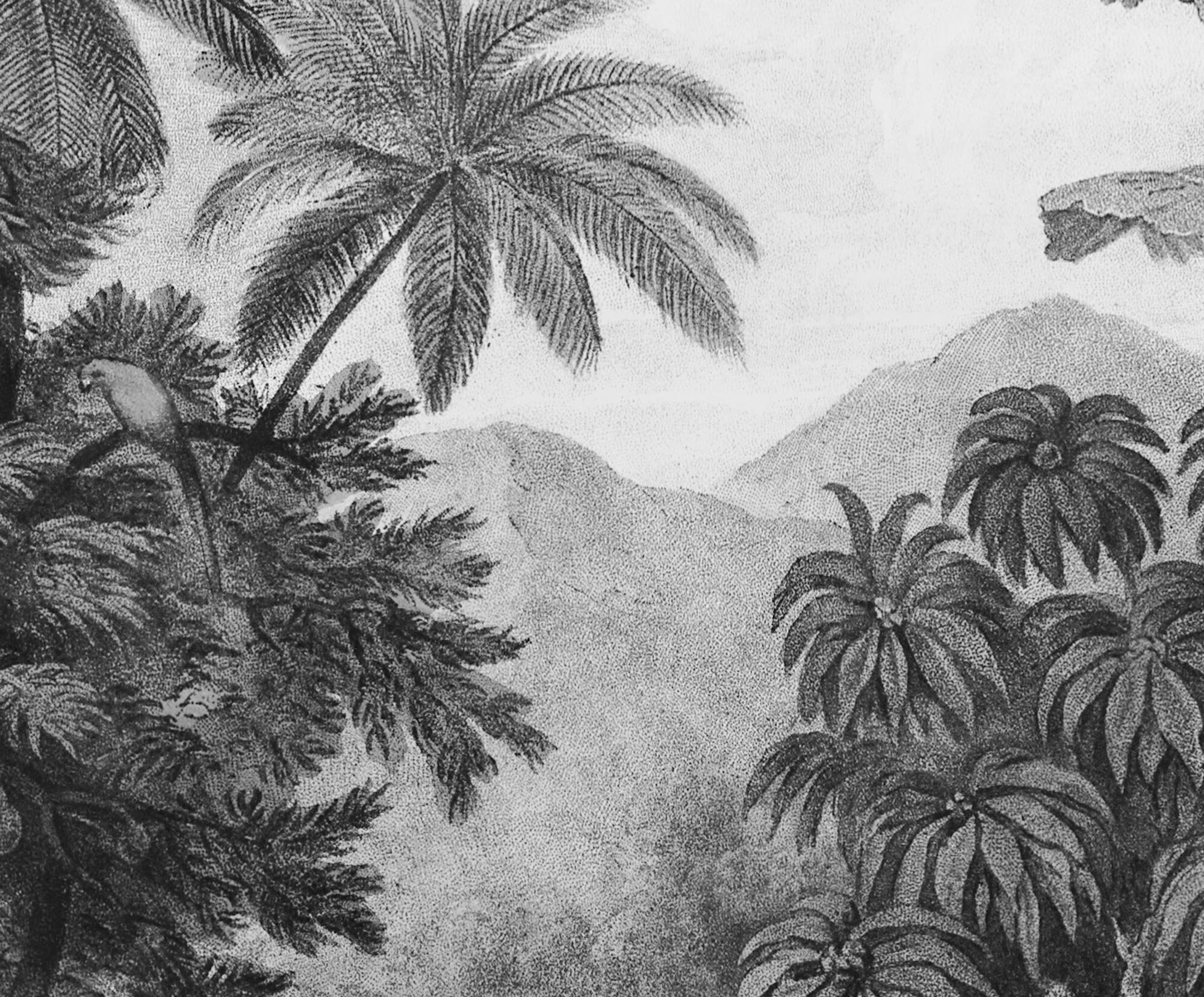 Vintage Wallpaper of a Tropical Jungle Illustration From the - Etsy