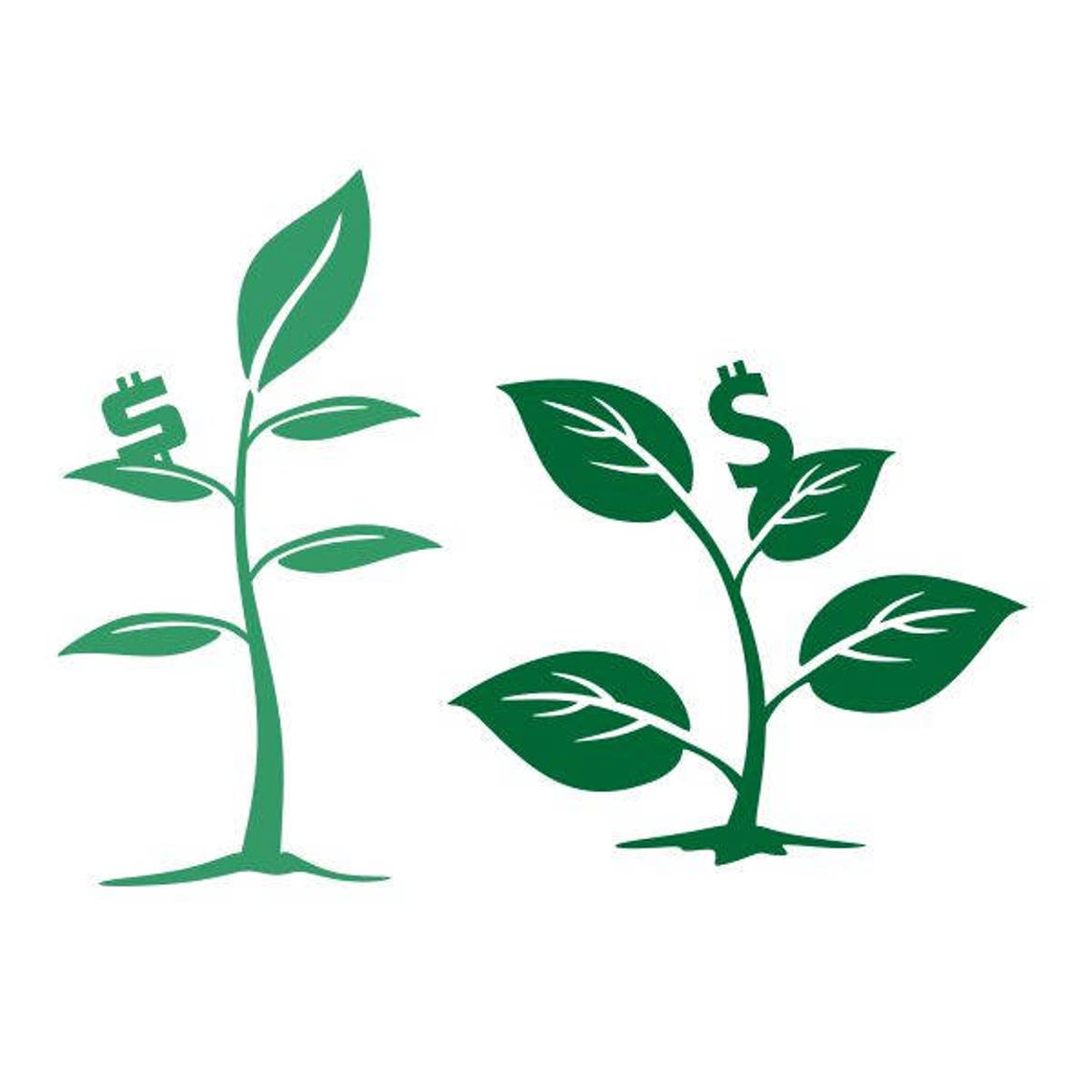 Money Tree Plant Cuttable Design SVG PNG DXF & Eps Designs - Etsy