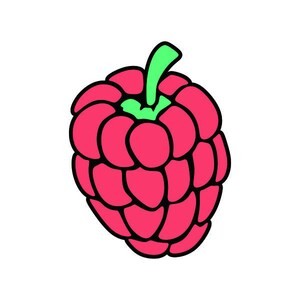 Raspberry Pack Cuttable Design SVG PNG DXF & Eps Designs Cameo File ...