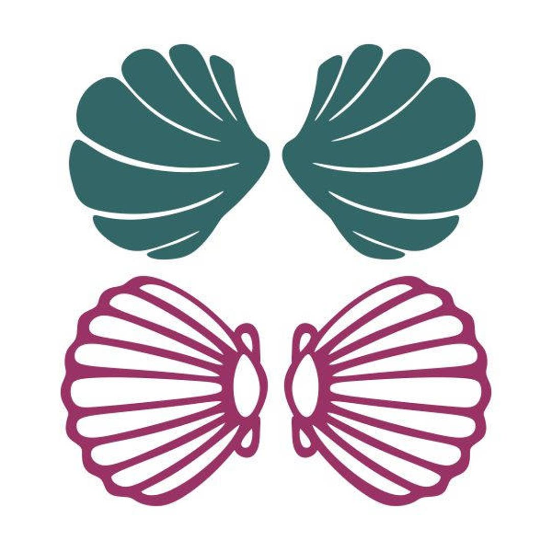 Shells Ocean Beach Cuttable SVG PNG DXF & Eps Designs Cameo File ...