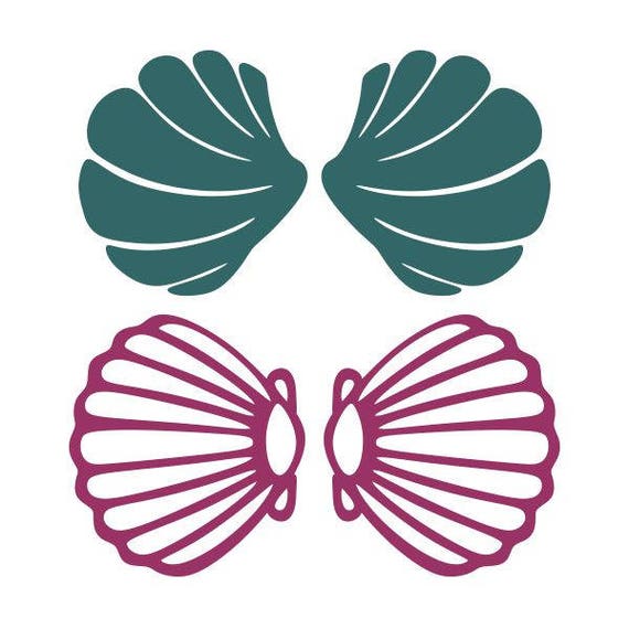 Shells Ocean Beach Cuttable SVG PNG DXF & Eps Designs Cameo | Etsy