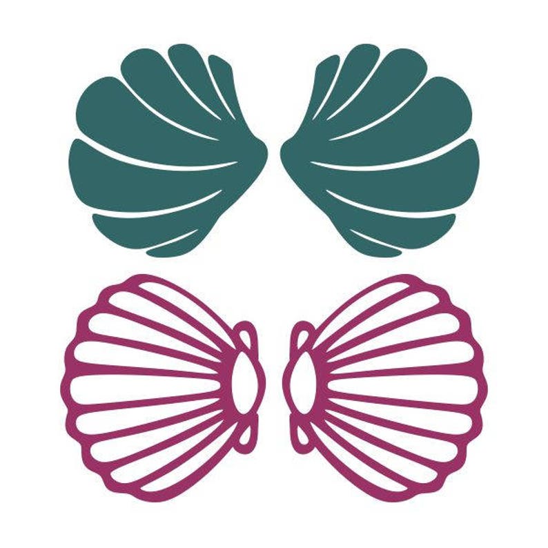 Shells Ocean Beach Cuttable SVG PNG DXF & Eps Designs Cameo | Etsy