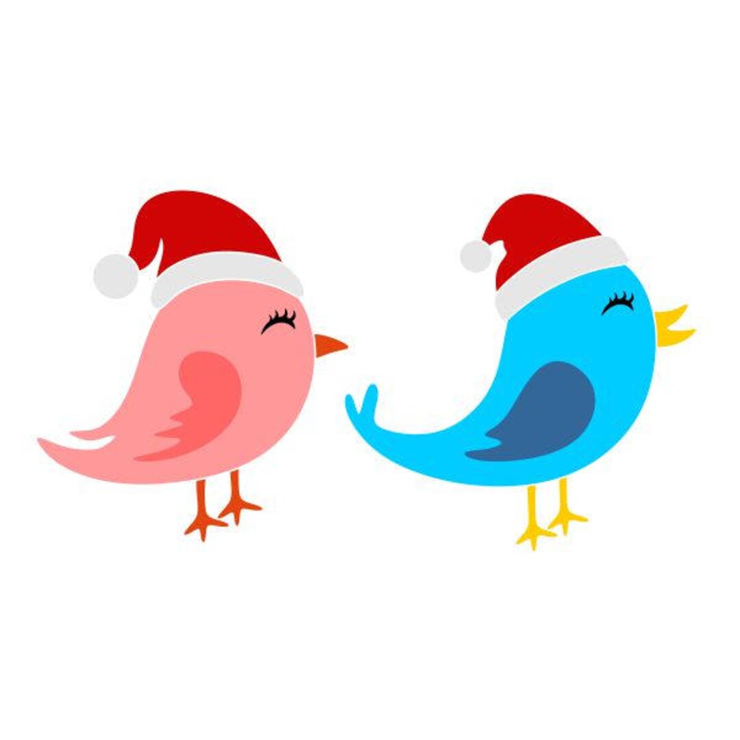 Christmas Bird Chic Cuttable Design SVG PNG DXF & Eps Designs Cameo ...