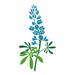 Bluebonnet Texas Pack Cuttable Design SVG PNG DXF & Eps Designs Cameo ...