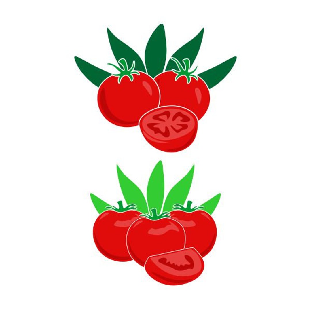 Tomatoes Cuttable Design SVG PNG DXF & Eps Designs Cameo File ...