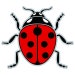 Ladybug Pack Cuttable Design SVG PNG DXF & Eps Designs Cameo File ...