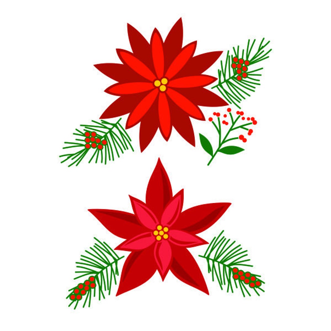 Poinsettia Flower Christmas Cuttable Design SVG PNG DXF & Eps Designs ...