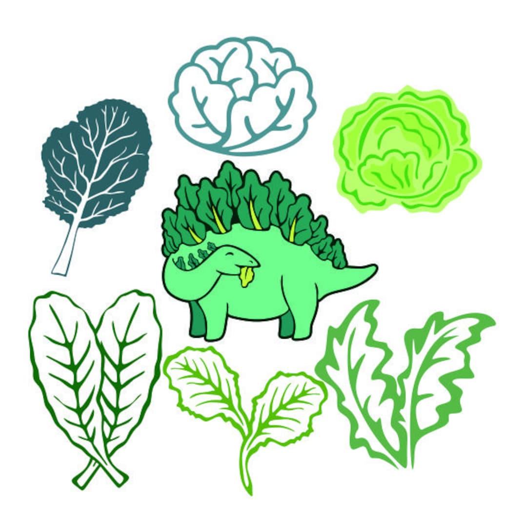 Kale Pack Cuttable Design SVG PNG DXF & Eps Designs Cameo File ...