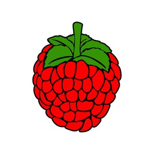Raspberry Pack Cuttable Design SVG PNG DXF & Eps Designs Cameo File ...