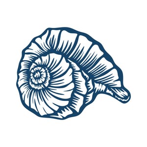 Seashells Pack Cuttable Design SVG PNG DXF & Eps Designs Cameo File ...